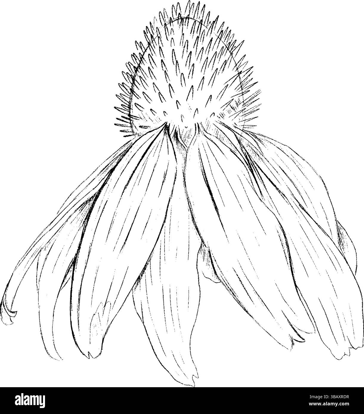 Medical center beautiful Cut Out Stock Images & Pictures - Alamy