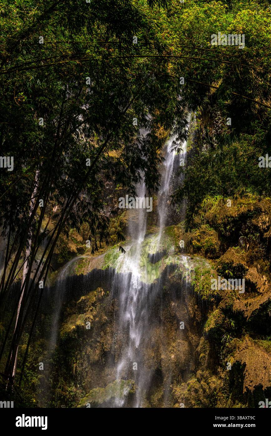 An unusual tropical waterfall. Thin streams of water flow down the ...