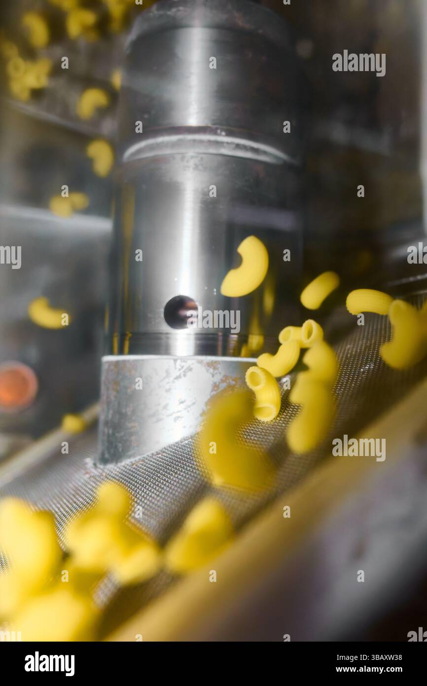 Pasta extrusion process showing macaroni shapes being formed in a ...