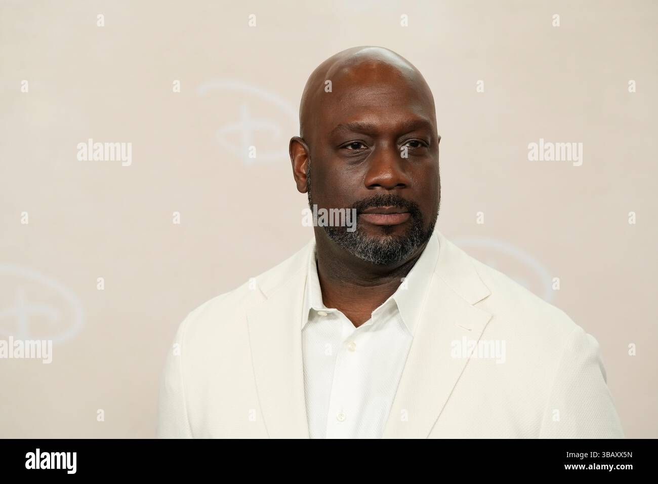 New York, USA. 13th May, 2025. Richard T. Jones attends the 2025 Disney ...