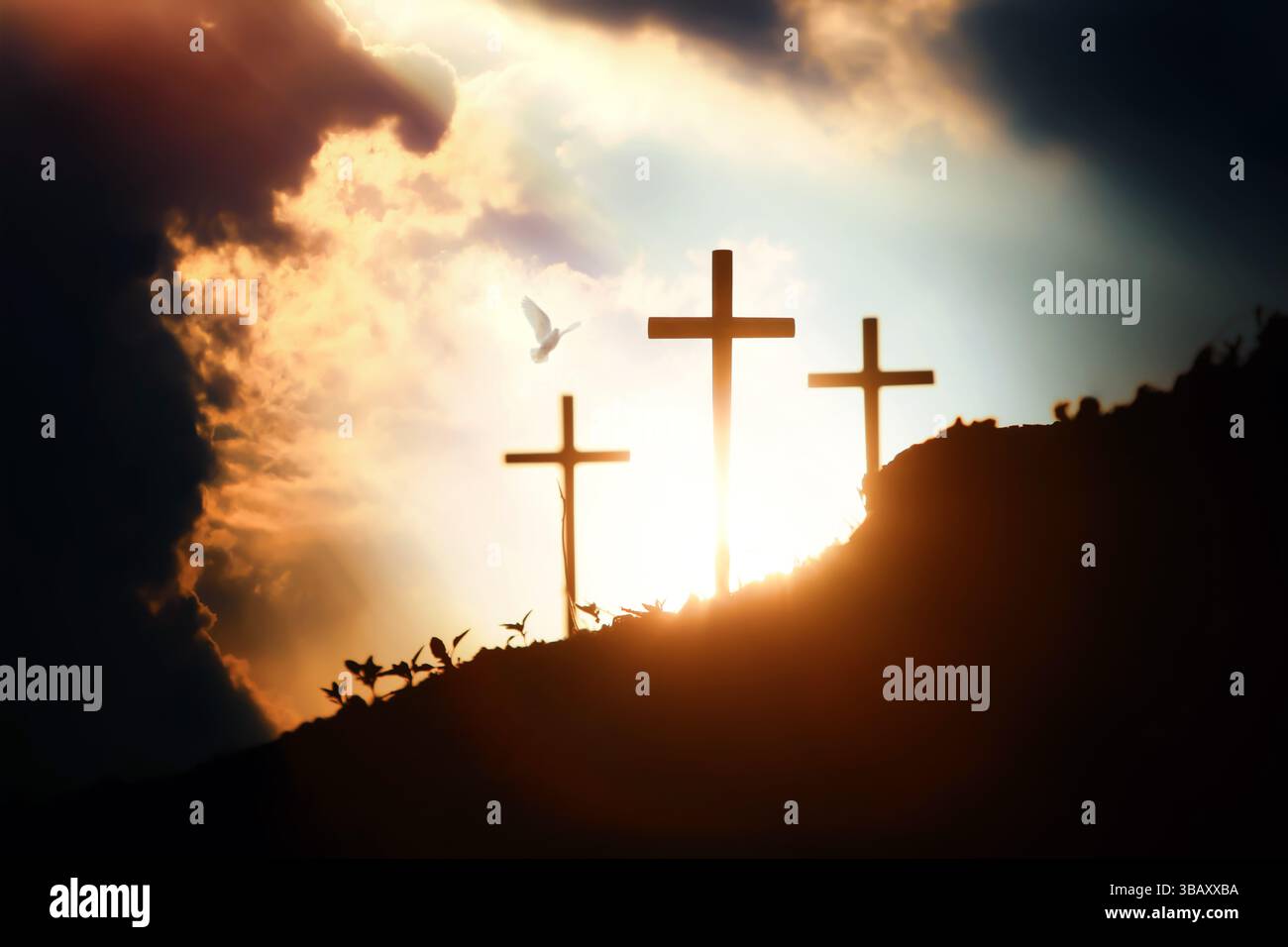 Holy spirit white dove hi-res stock photography and images - Alamy