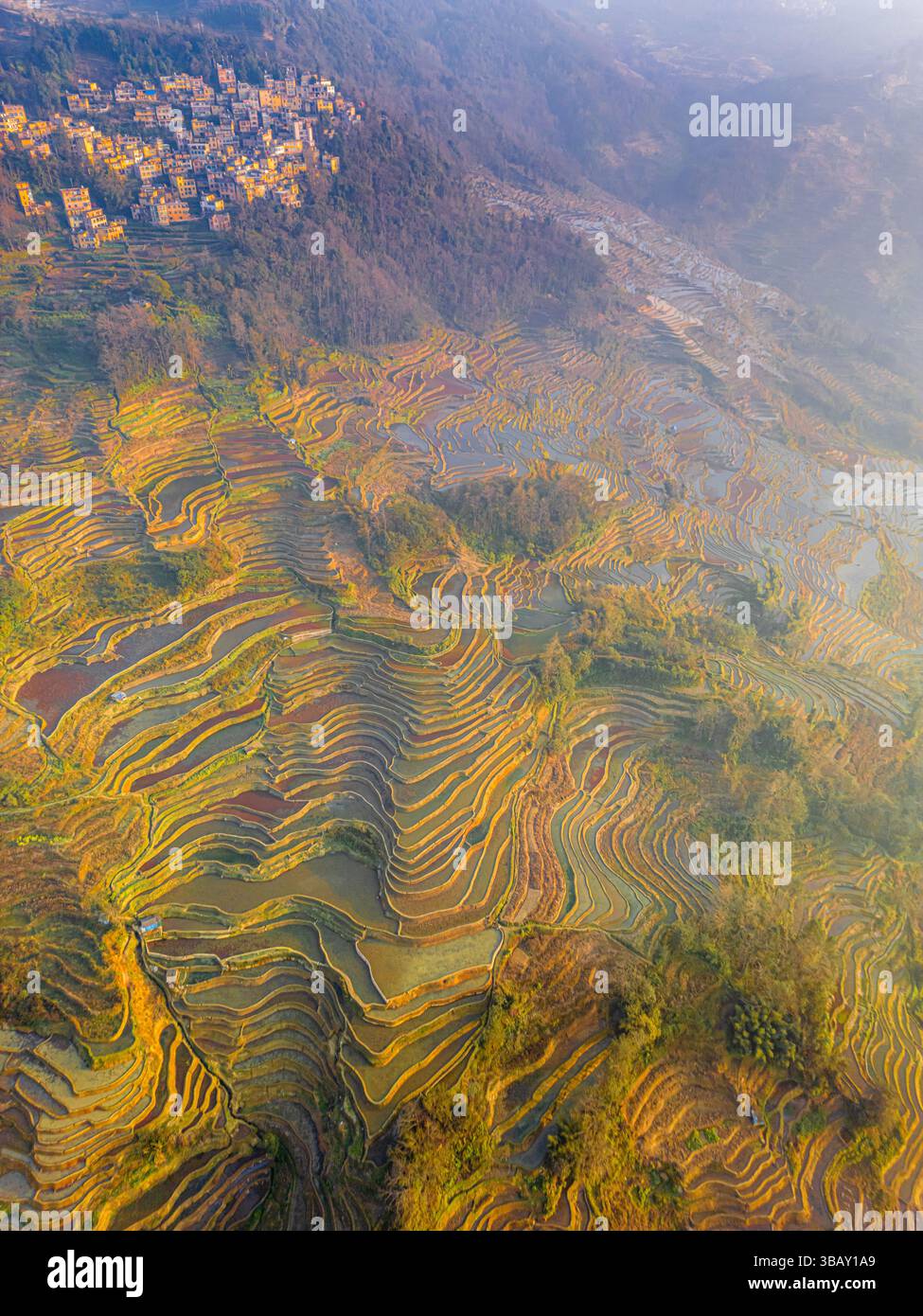 Terraced Hani Rice Fields Scenery in Spring Water Season in South China ...