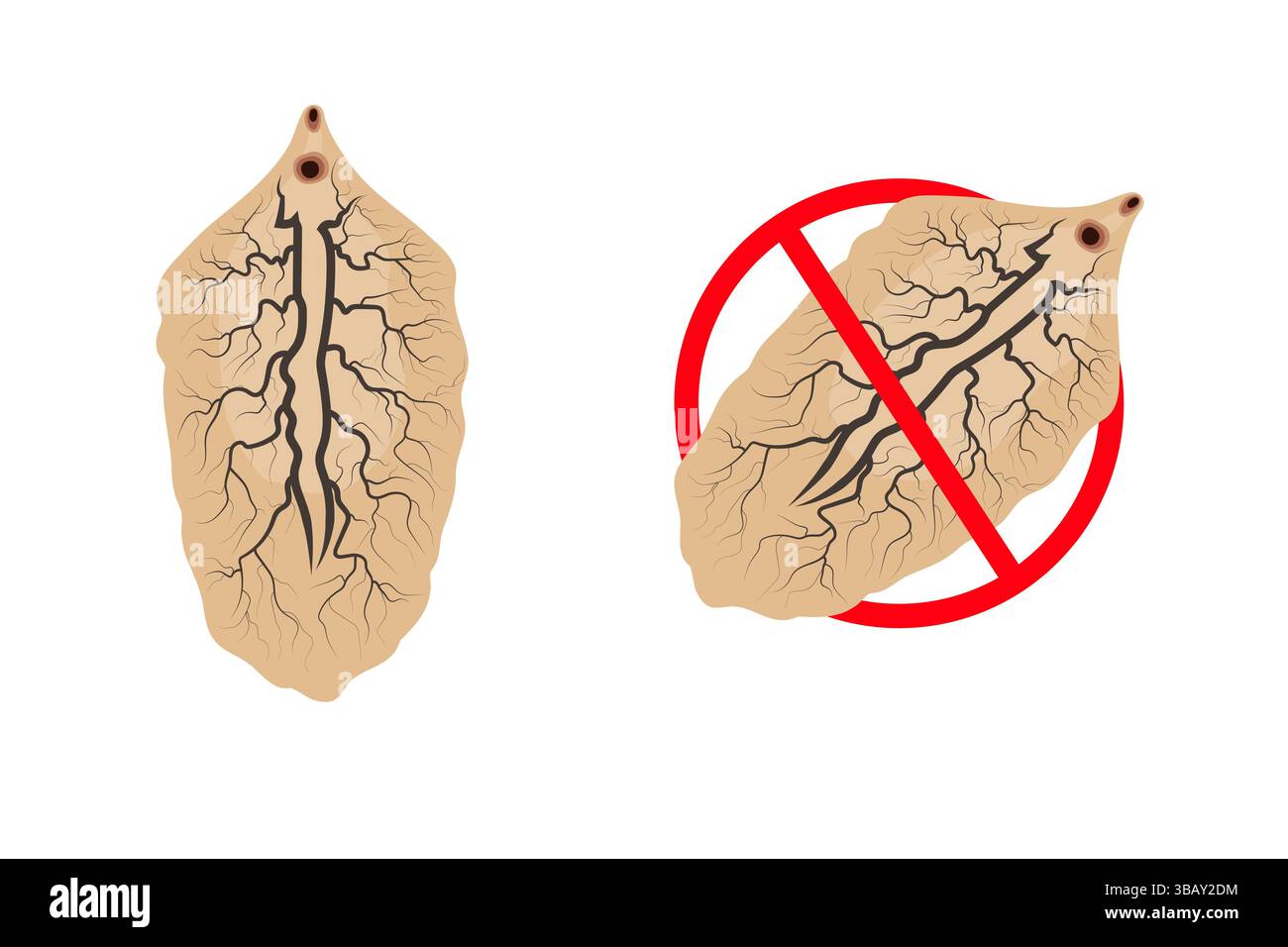 Livestock treatment Stock Vector Images - Alamy