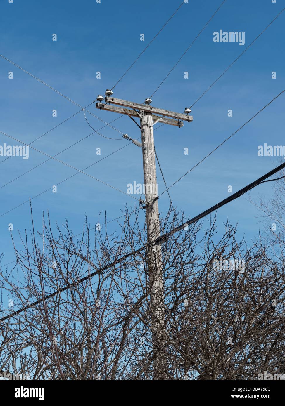 Wood utility pole Stock Photo - Alamy
