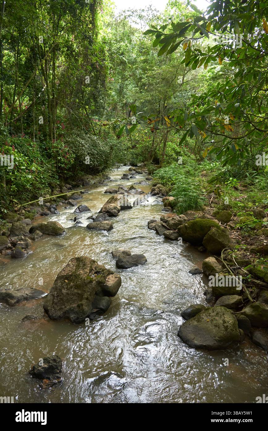 River flowing peacefully in a natural landscape, in El Gallineral Park ...