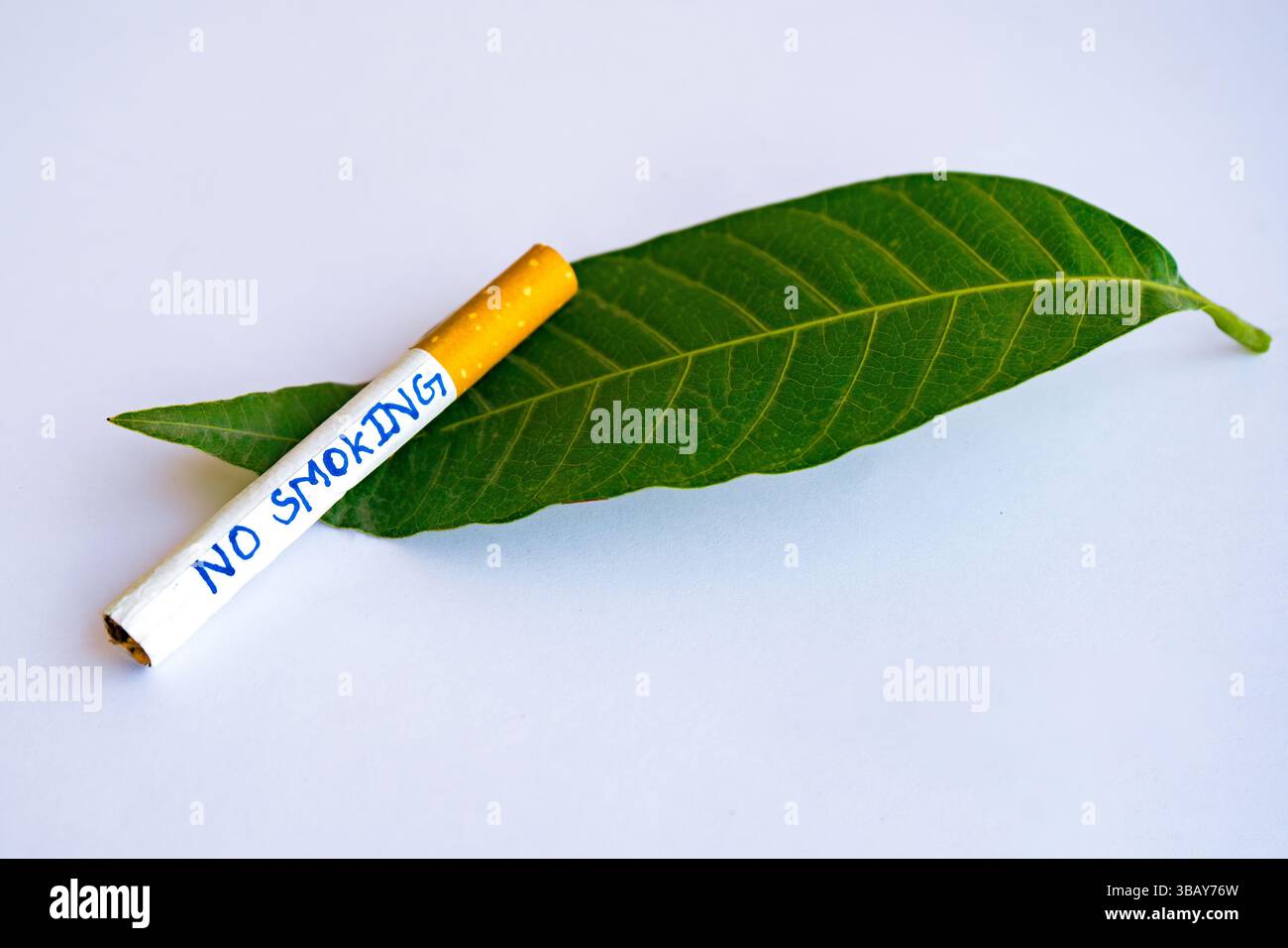Promote a smoke-free world with visuals for World No Smoking Day, World ...