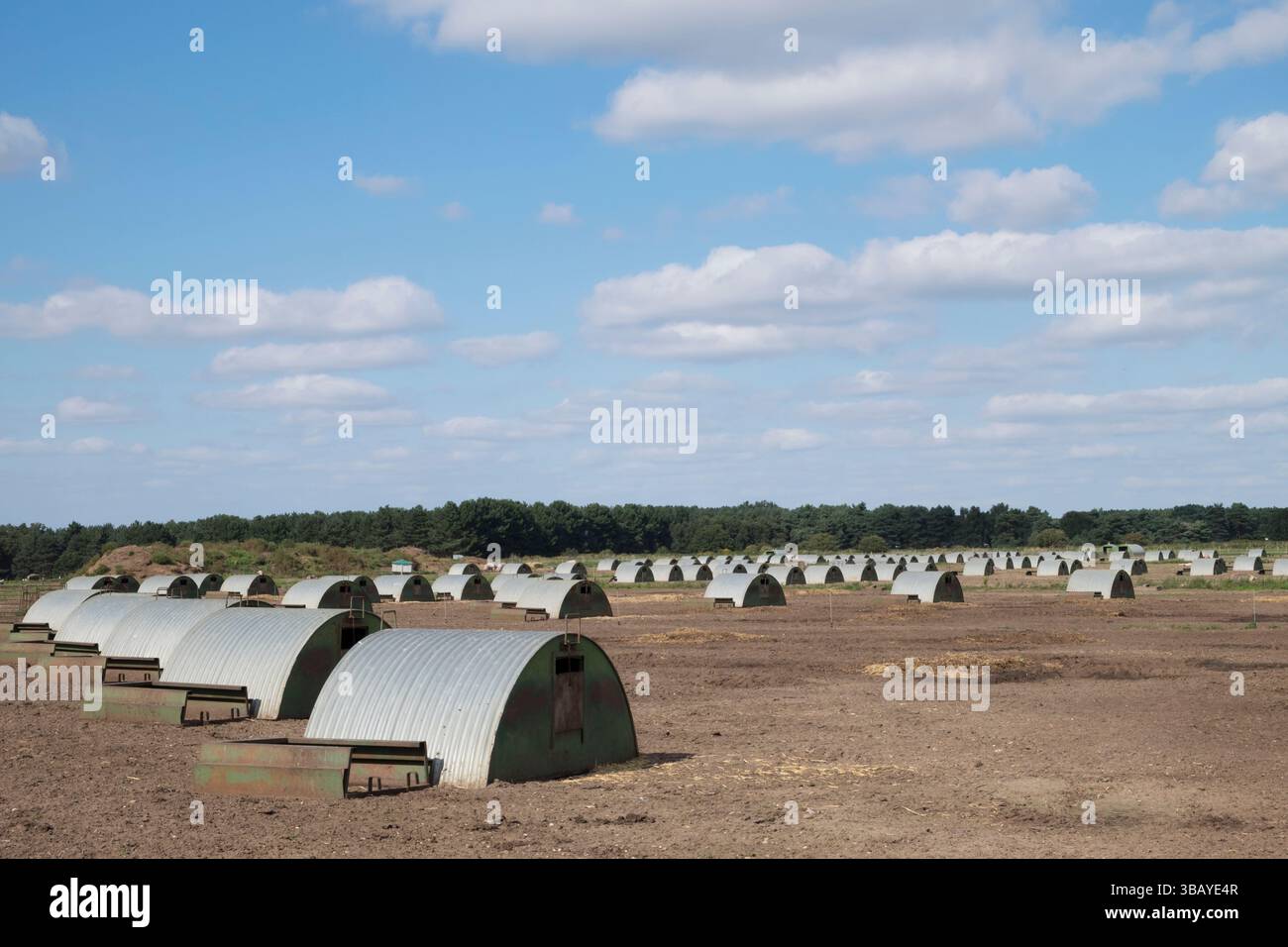 Corrugated tin outdoor pig pens Stock Photo - Alamy