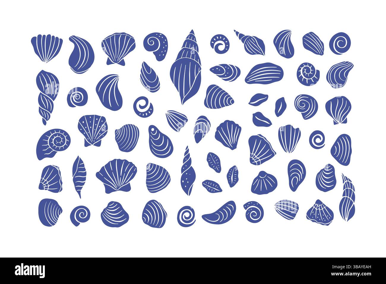 Hand drawn sea shells clipart Stock Vector Image & Art - Alamy