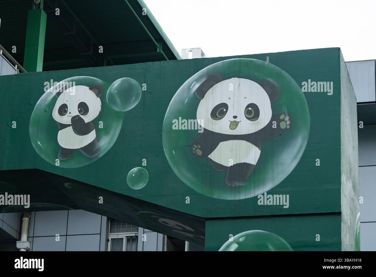 The first panda themed station of Chongqing Rail Transit attracts ...