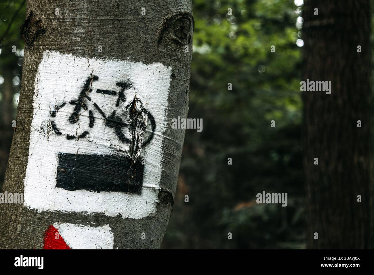 Black bicycle symbol and route marker painted on tree bark in a wooded ...
