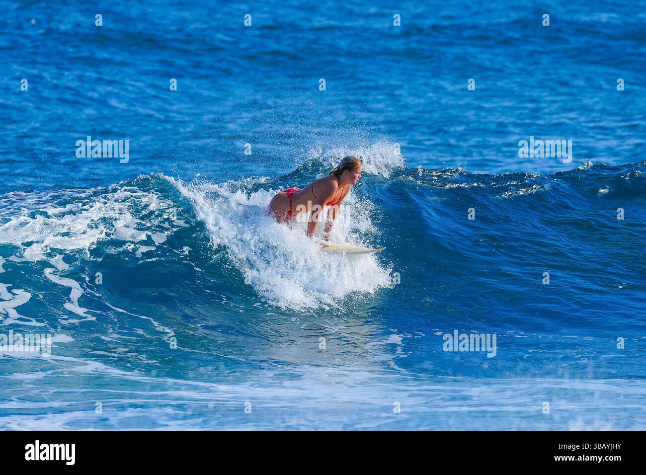 Surfer rides a powerful wave in tropical blue waters wearing a red ...