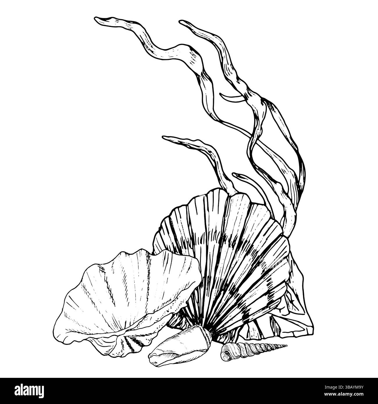 Seashells from the ocean floor and a starfish next to algae twigs ...