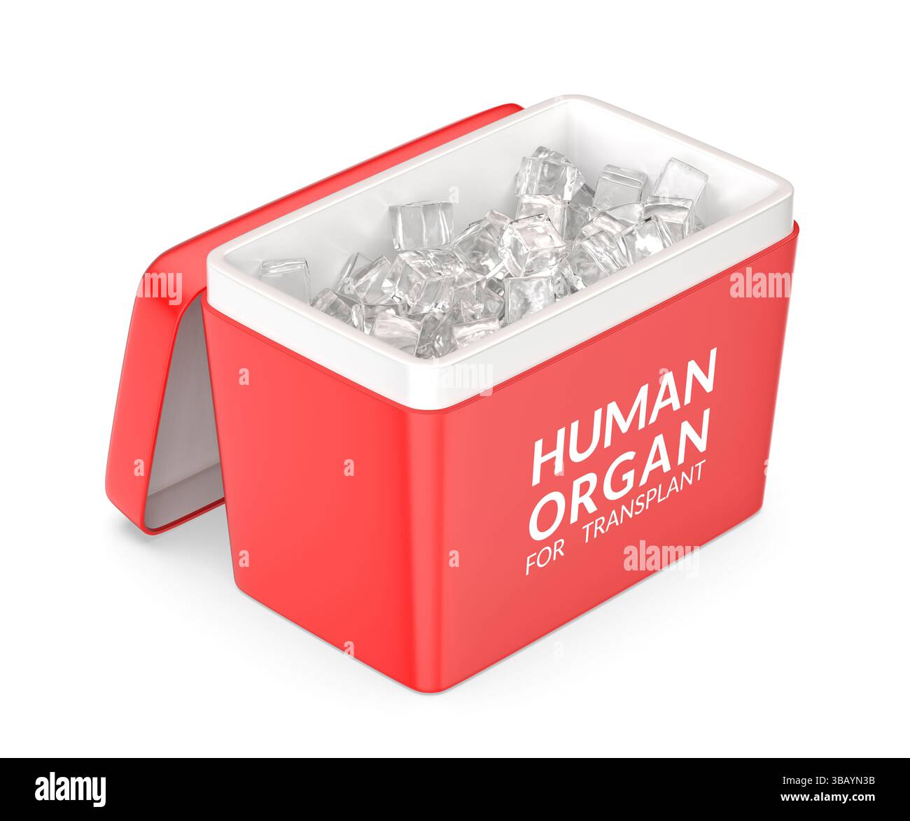 Empty open human organ transport box with ice inside Stock Photo - Alamy