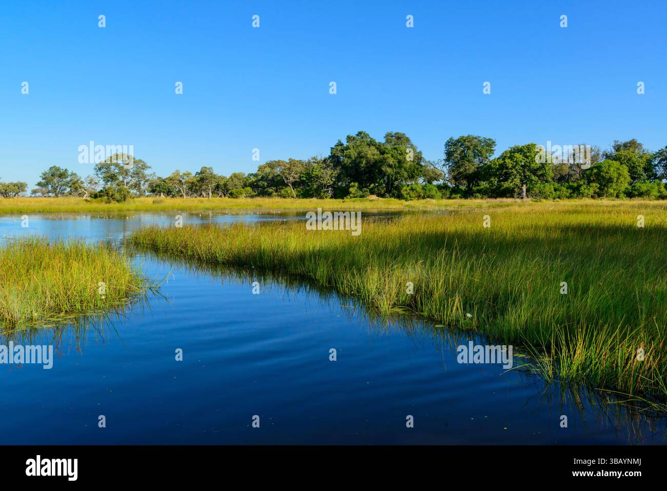 The serene blue waters of the Okavango Delta in flood. Botswana Stock ...