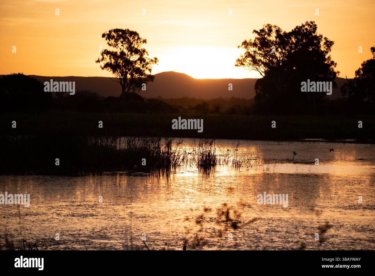 St lawrence wetlands hi-res stock photography and images - Alamy