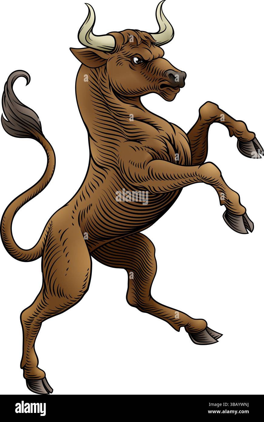 Bull Heraldry Coat of Arms Heraldic Crest Animal Stock Vector Image ...
