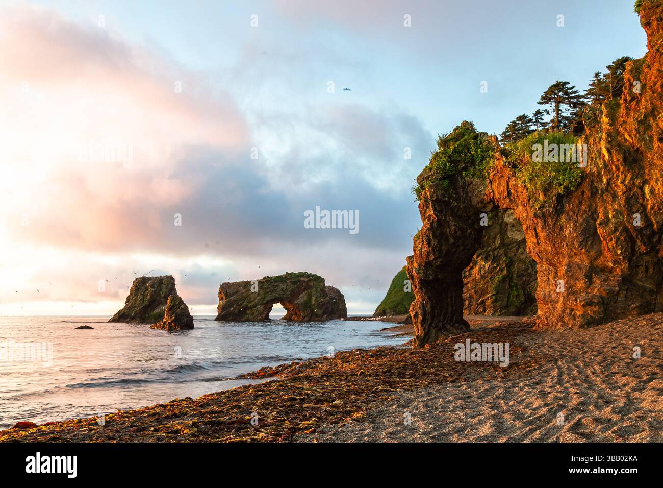 Bird's Cape at sunrise, South Sakhalin, Russia Stock Photo - Alamy