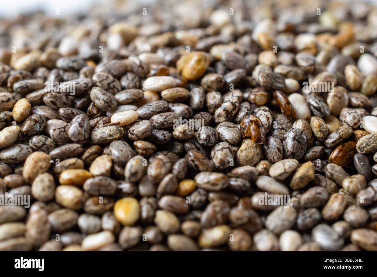 Close up photo of dried seed hi-res stock photography and images - Alamy