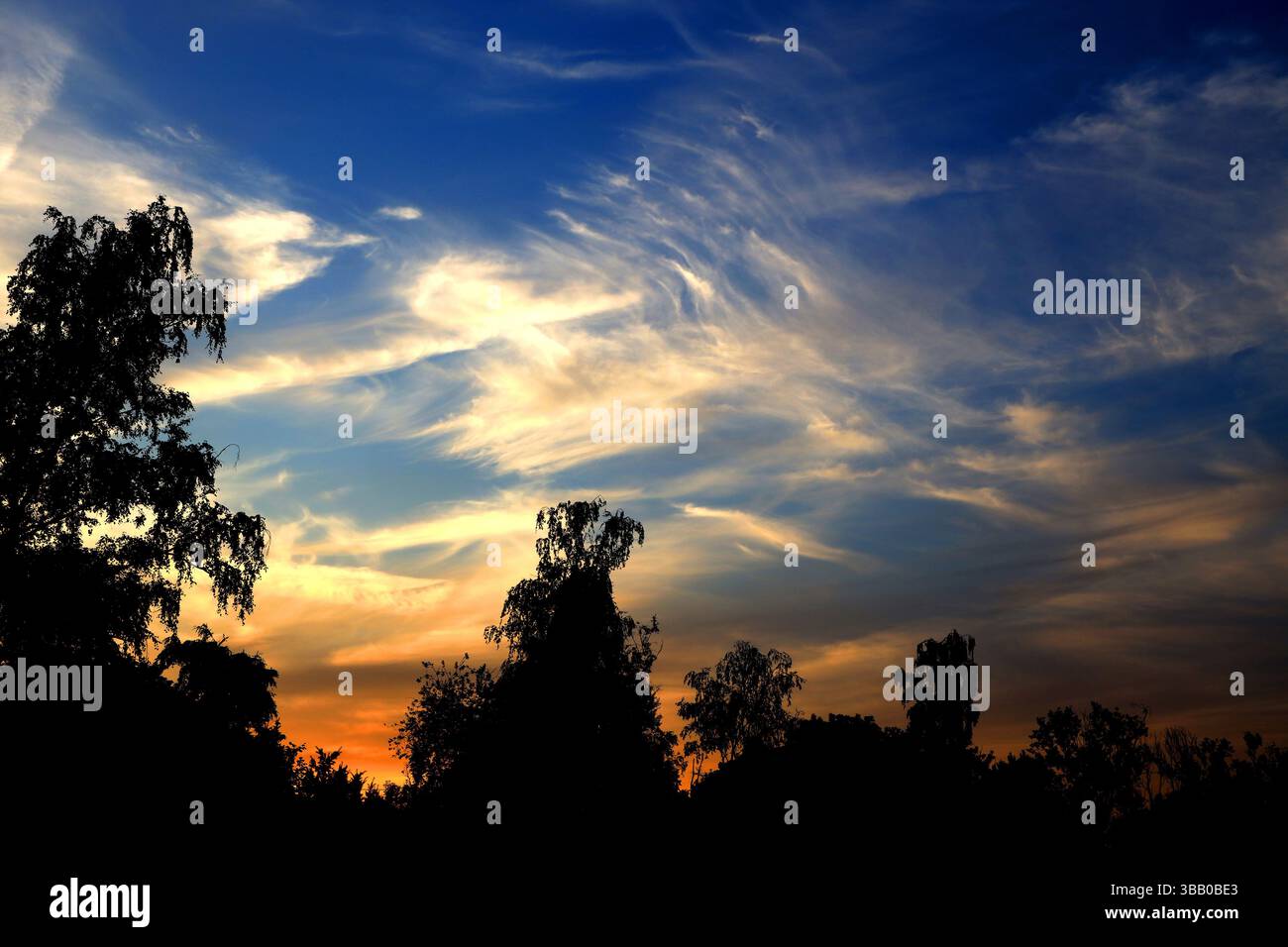 Ice clouds in the evening sky between 8000 and 12000 metres (different ...