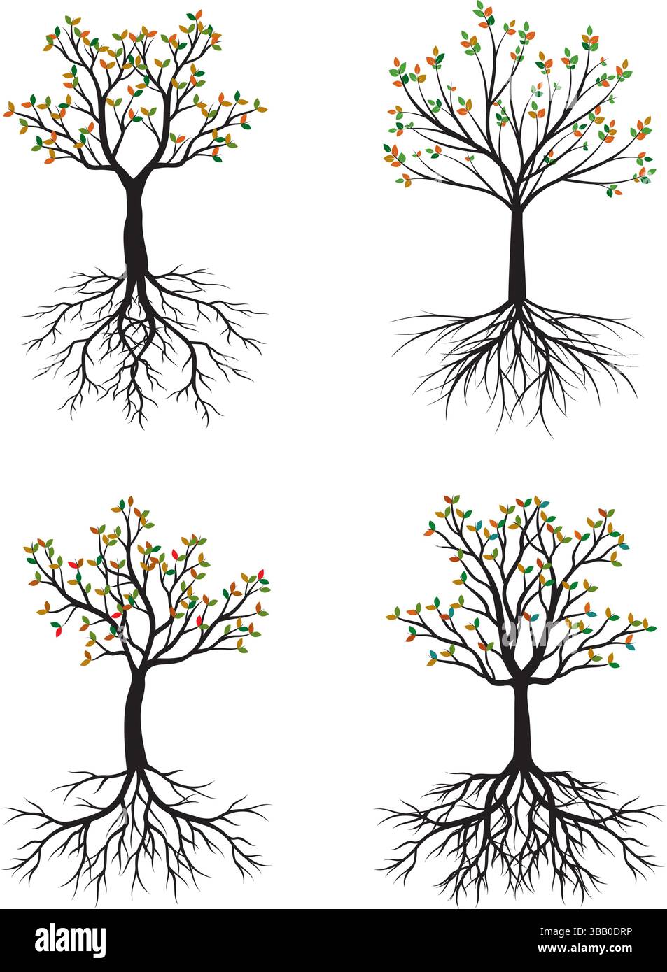 Set of Autumn Tree with Roots. Vector outline Illustration. Plant in ...