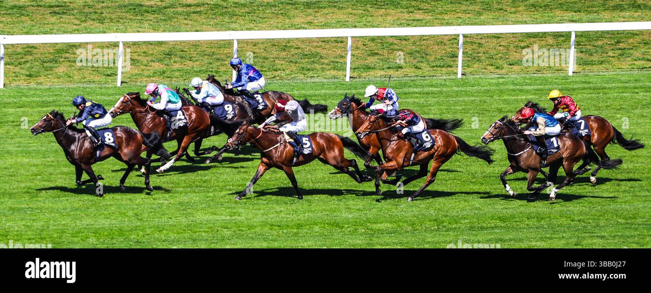 Thundering hooves at Ascot – 10th May 2025. Horses in full flight ...