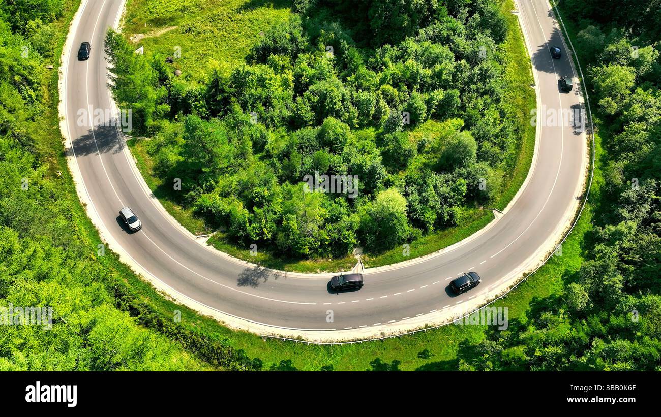 Aerial view of cars on a curved forest road. Aerial shot of vehicles ...