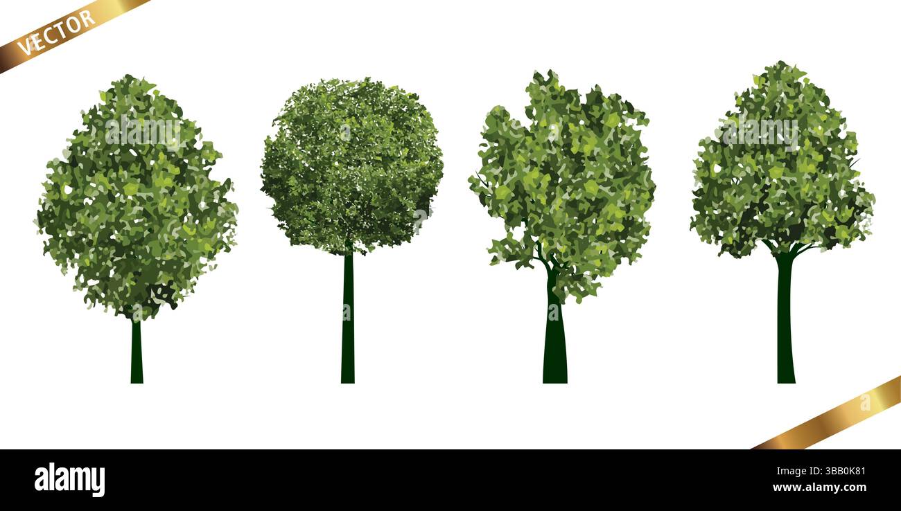 Collection of Realistic Trees with Green Leaves and Roots. Vector ...