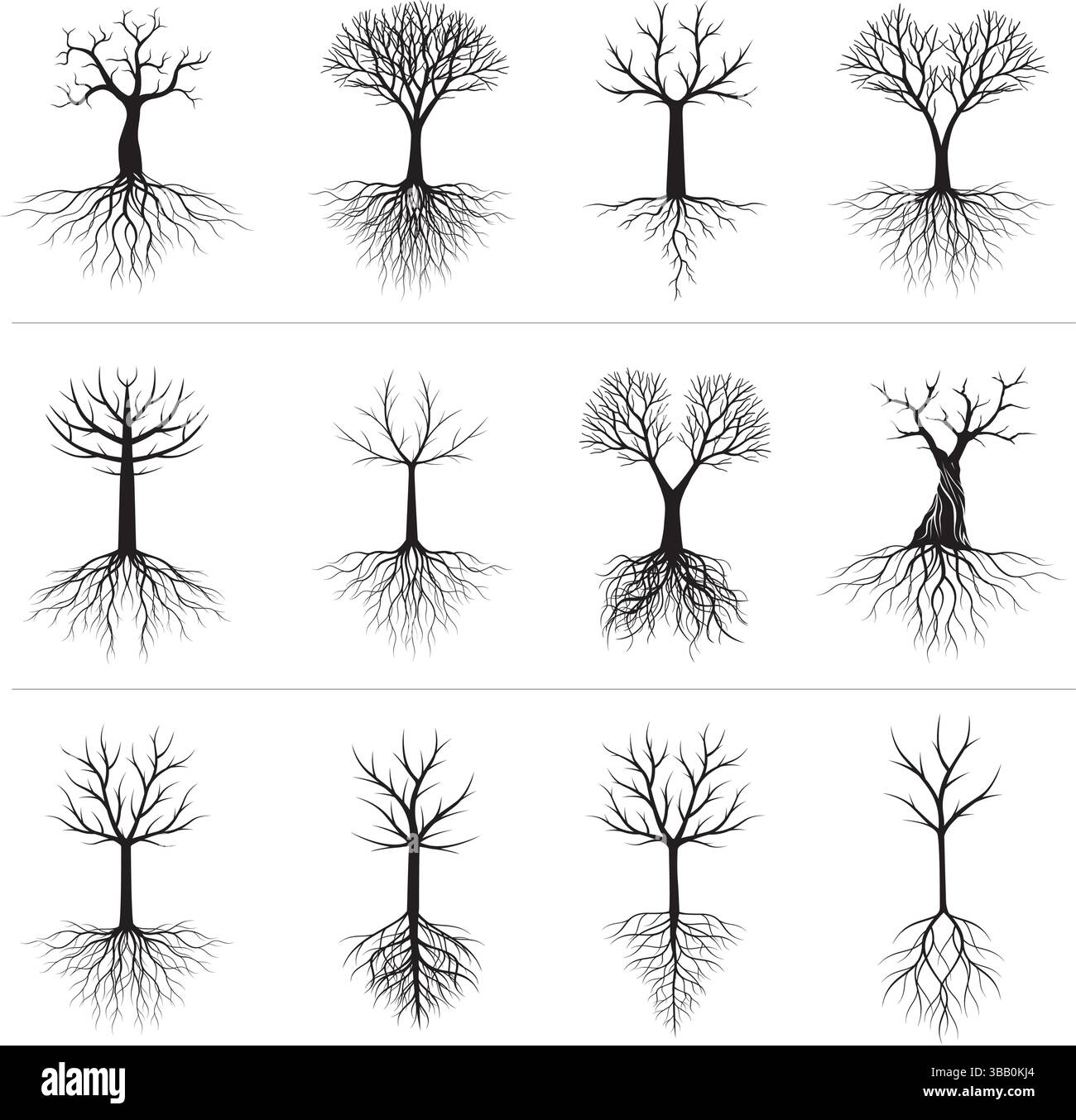 Set of Trees with Roots. Vector Illustration. Collection of icons Stock ...