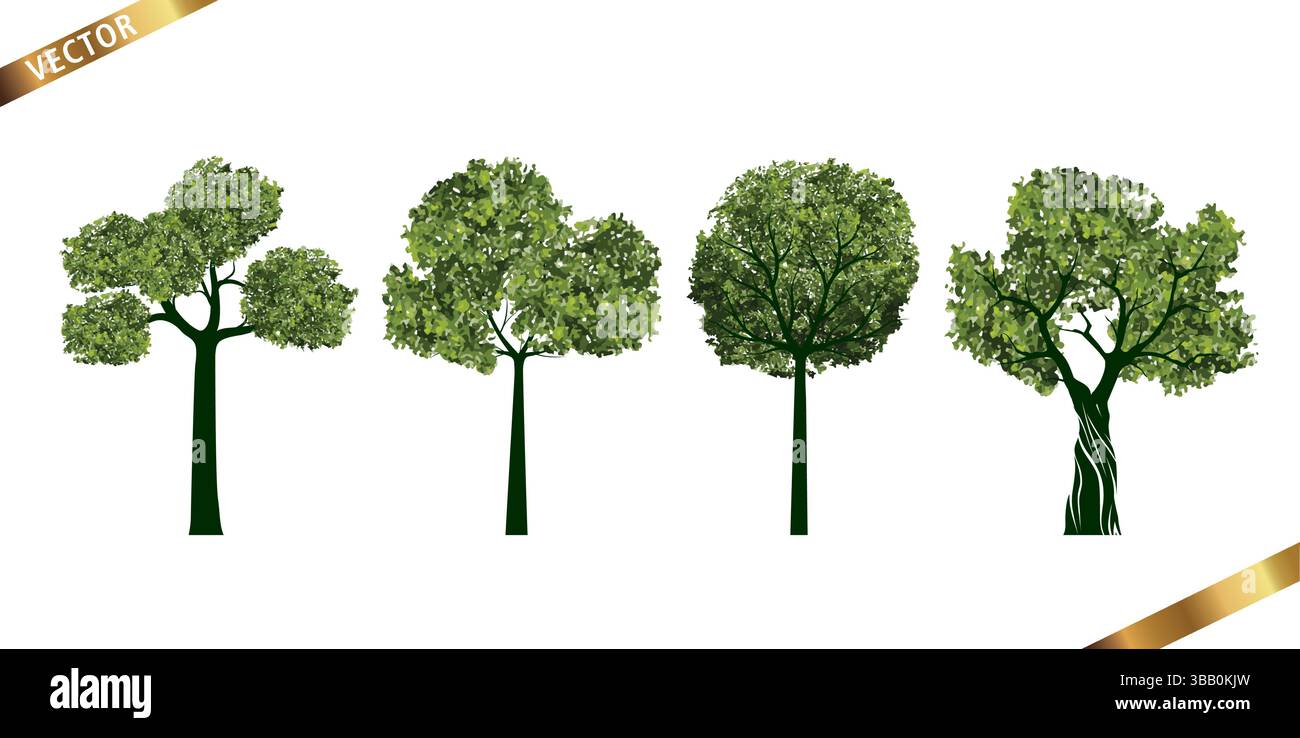 Collection of Realistic Trees with Green Leaves. Vector Illustration ...