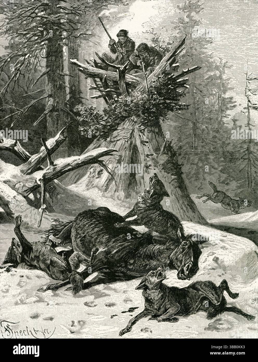 THE WOLF - Hunters Fighting a Winter Wolf Pack Over Horse Carcass ...