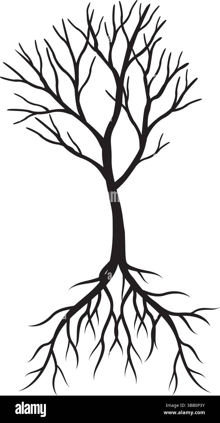 Black Tree. Vector outline Illustration Stock Vector Image & Art - Alamy