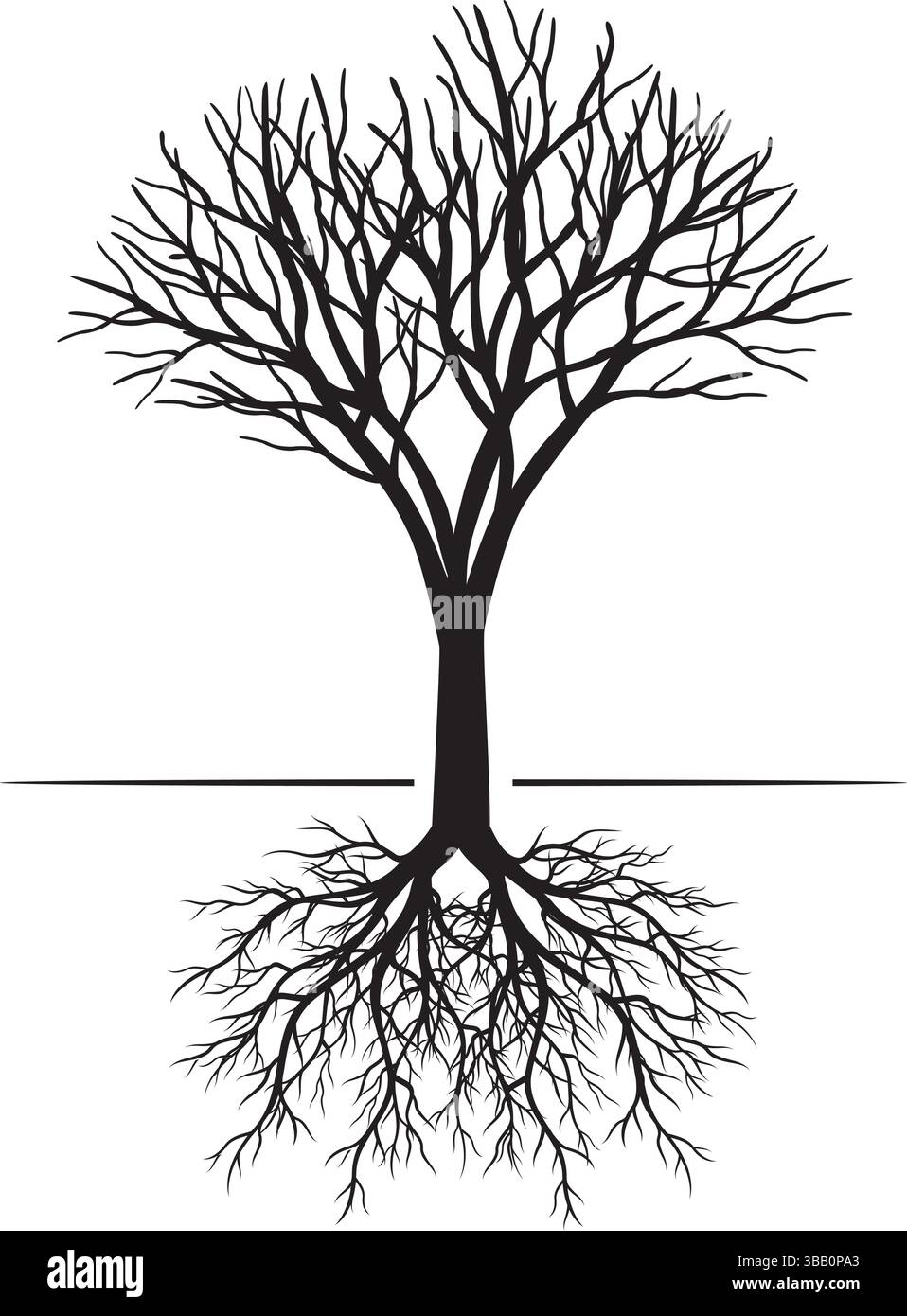 Black Tree. Vector outline Illustration Stock Vector Image & Art - Alamy