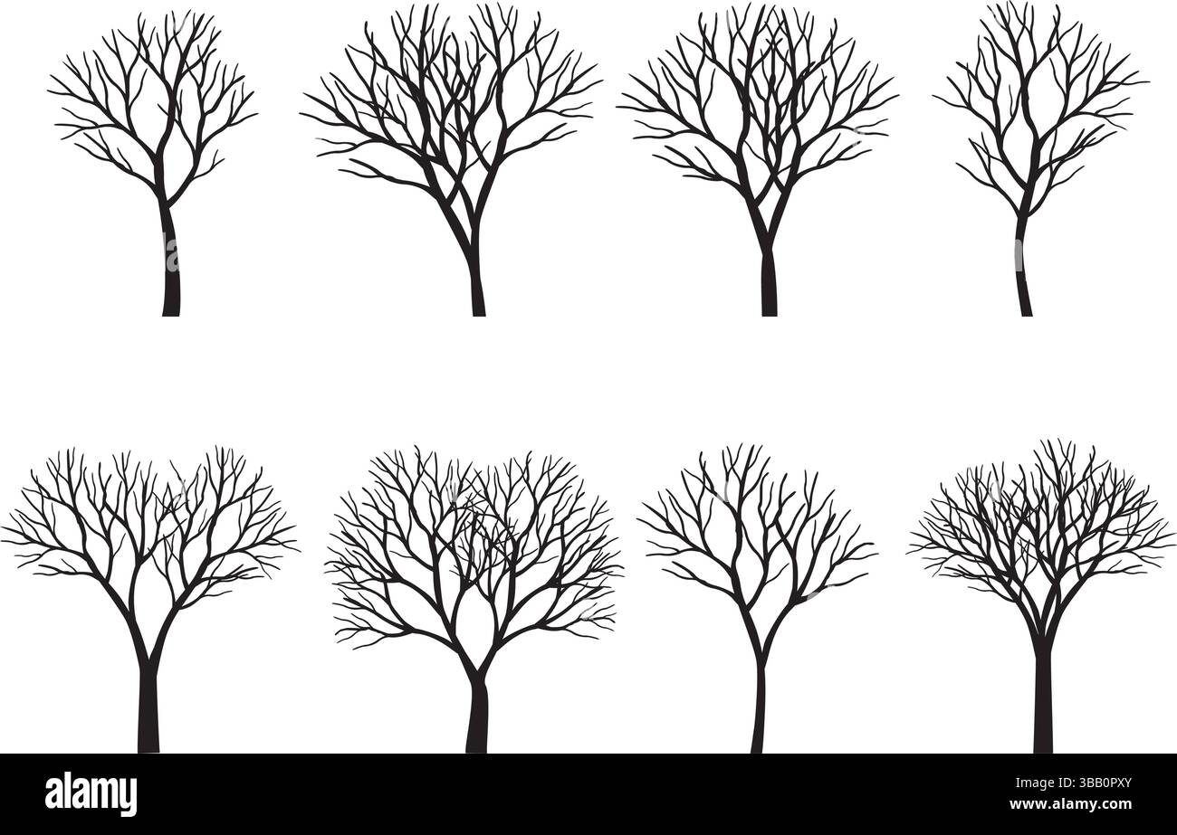 Set of black Trees. Vector outline Illustration Stock Vector Image ...