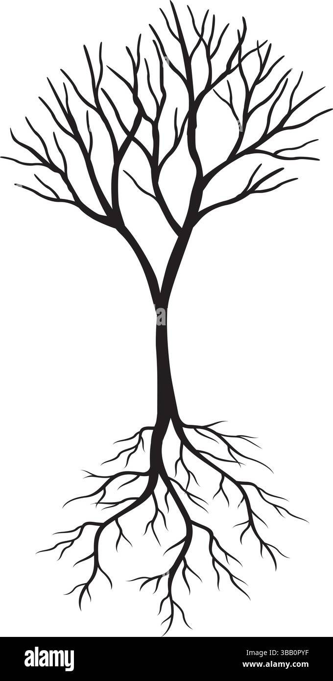 Black Tree. Vector outline Illustration Stock Vector Image & Art - Alamy