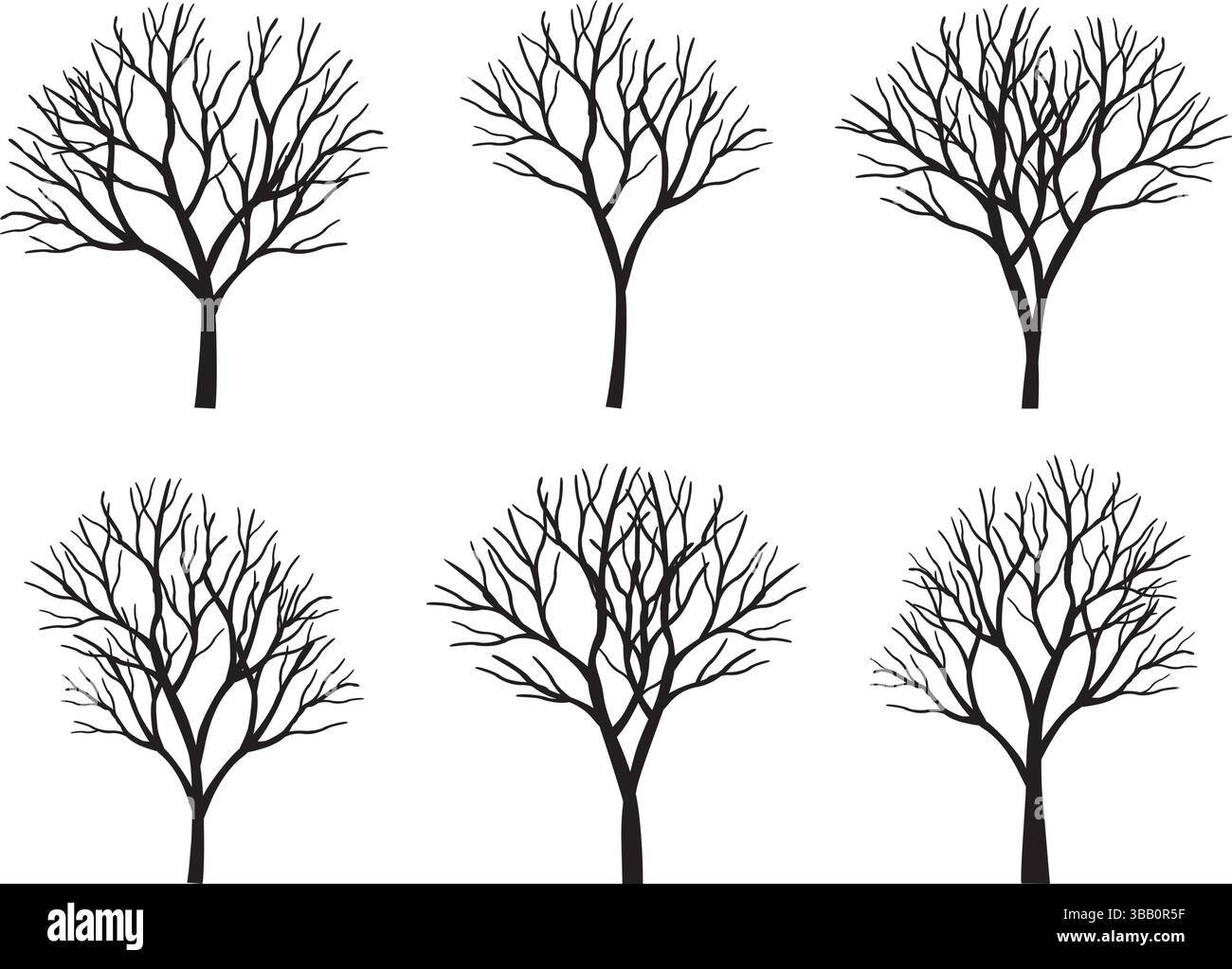 Set of black Trees. Vector outline Illustration Stock Vector Image ...