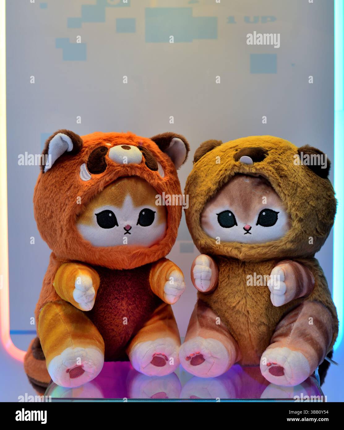 Twin mofusand in raccoon costume Stock Photo - Alamy