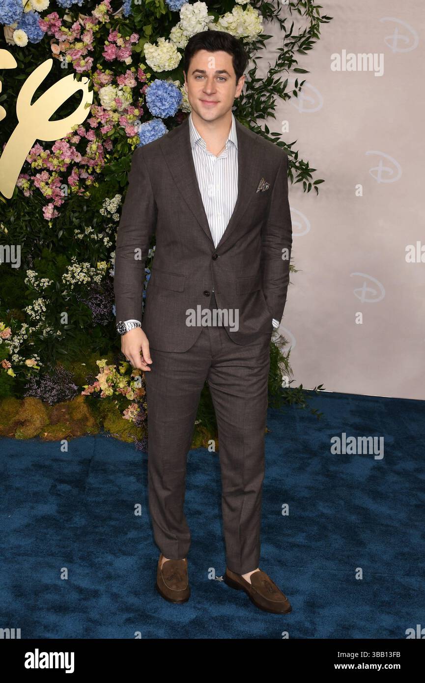 New York, NY, USA. 13th May, 2025. David Henrie at the 2025 Disney ...