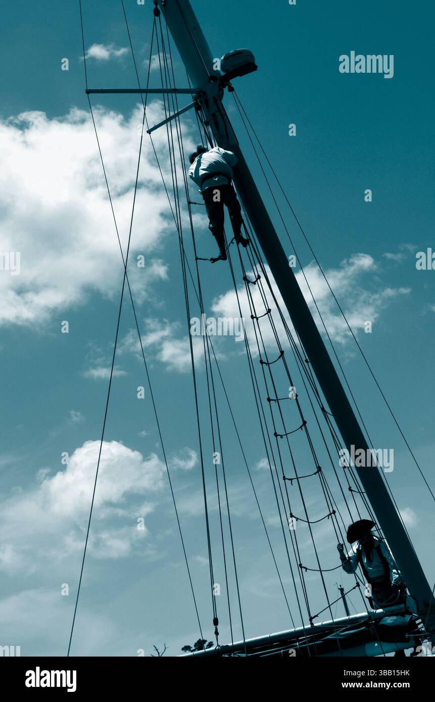 Man climbing the mast of a tall ship docked along the riverfront in ...