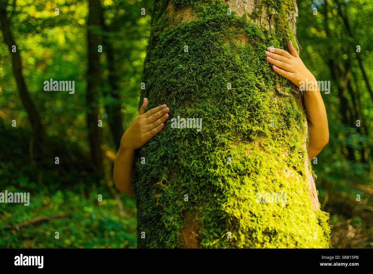 Human Hands Hugging Mossy Tree in Forest Stock Photo - Alamy