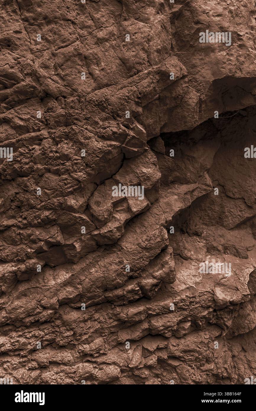 The rocky surface showcases detailed textures and natural patterns ...