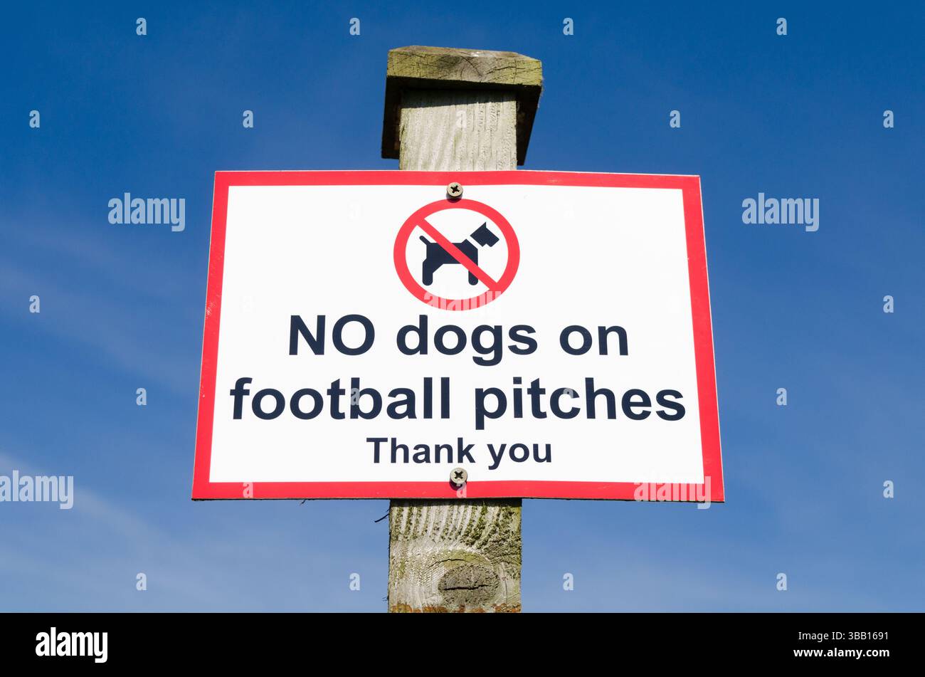 sign saying no dogs allowed UK Stock Photo - Alamy