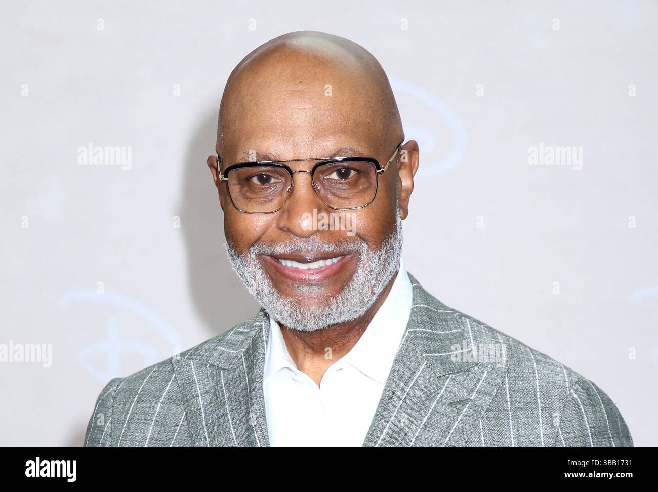 New York City, USA. 13th May, 2025. James Pickens Jr. attending the ...