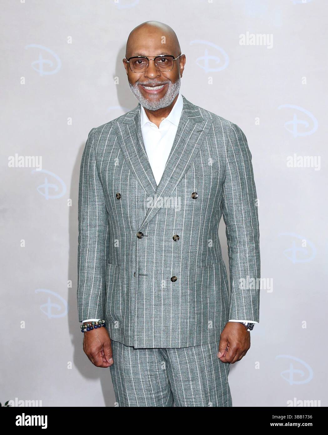 New York City, USA. 13th May, 2025. James Pickens Jr. attending the ...