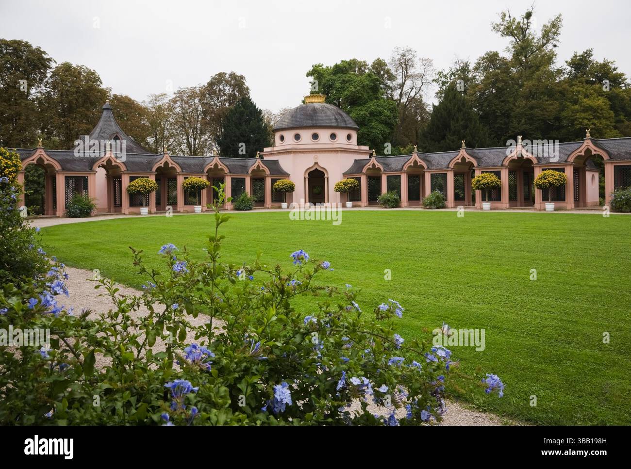Violet blue flowering shrub and manicured green grass lawn in inner ...