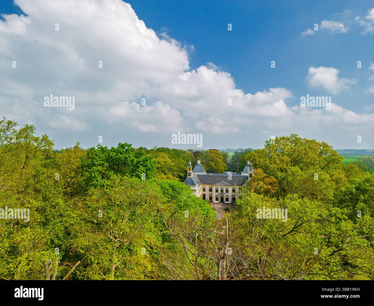 Aerial view of a historic castle surrounded by a forest, with vast ...