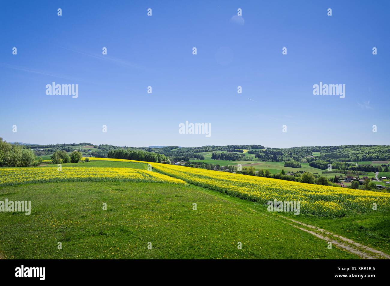 View rural countryside green pastures hi-res stock photography and ...