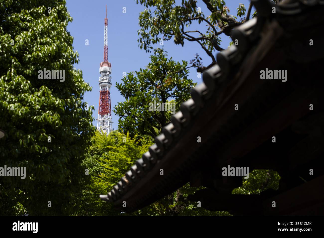 Illustration during the Tokyo ePrix, 8th and 9th round of the 2024-25 ...