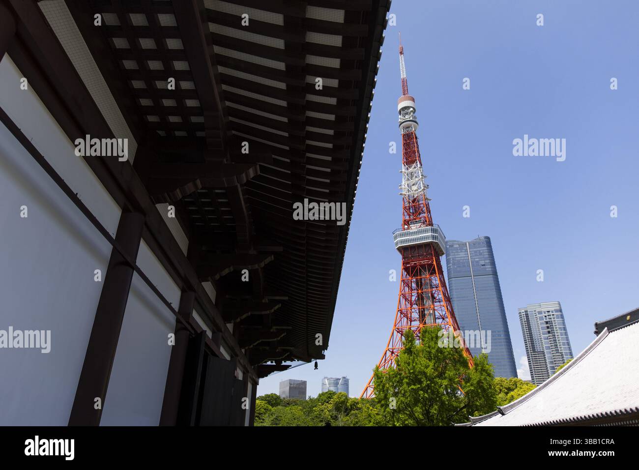 Illustration during the Tokyo ePrix, 8th and 9th round of the 2024-25 ...