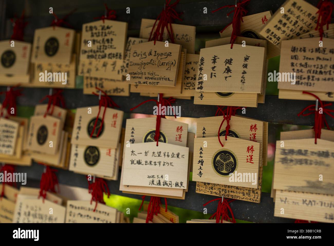 Illustration during the Tokyo ePrix, 8th and 9th round of the 2024-25 ...