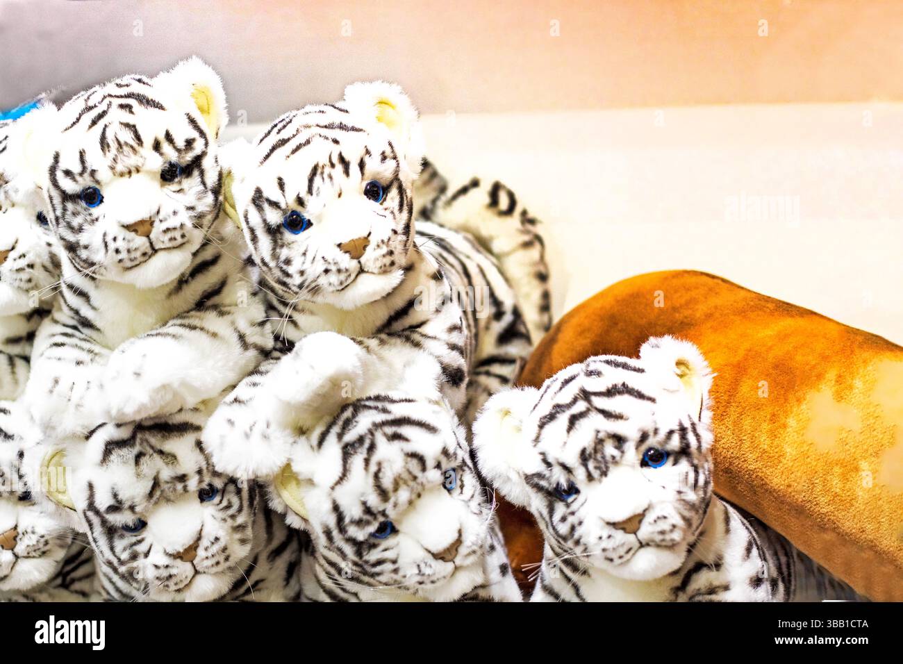 Tiger themed gift hi-res stock photography and images - Alamy